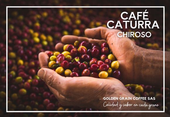 Café Caturra Chiroso - La Exquisita Joya del Café de Especialidad ...